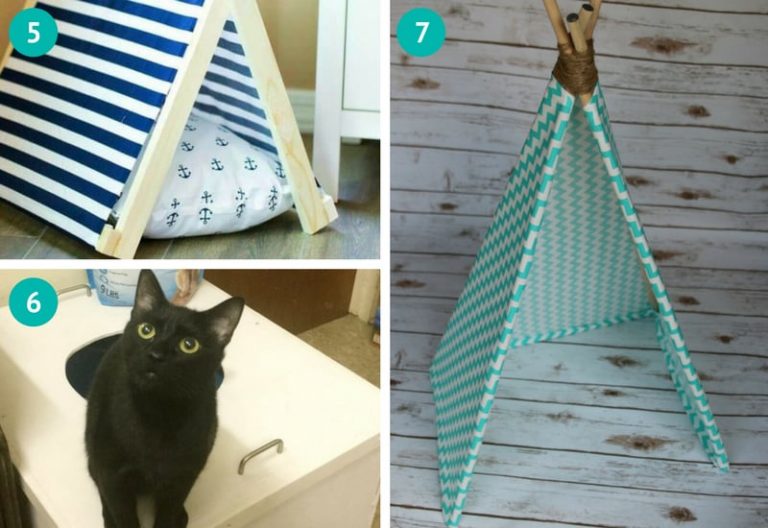 10 Cat Furniture DIYs That You'll Want to Try Today! | Meows 'n' Paws