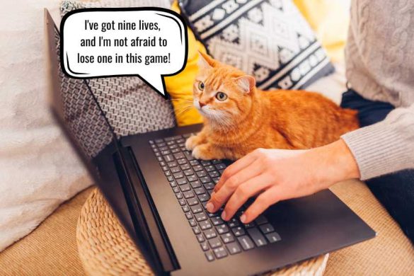 11 Cat Groups on Facebook to Share the Love for Cats | Meows 'n' Paws